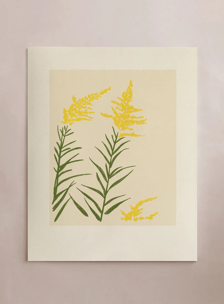 STEPHANIE CHENG POSTER WILDFLOWER GOLDENROD – The Sunday Shop Calgary